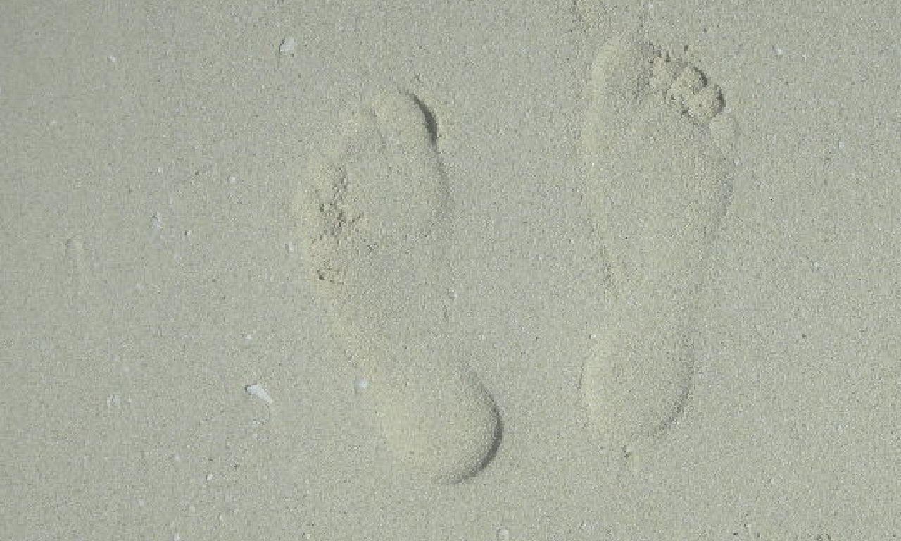 Thoughts and Practices on Building a Data Science Team – Bin's Blog